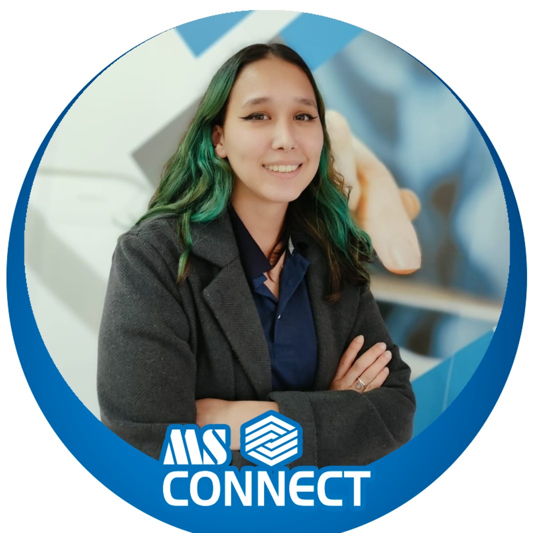 Colaboradores – MS Connect